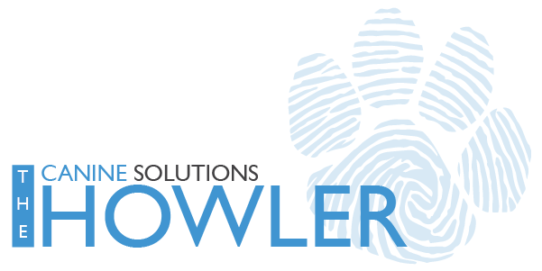 SIGN UP FOR OUR E-NEWSLETTER! | Canine Solutions